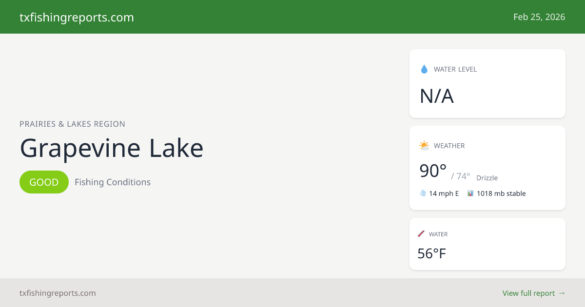 Grapevine Lake Fishing Report 2026 - TX Water Levels & Weather