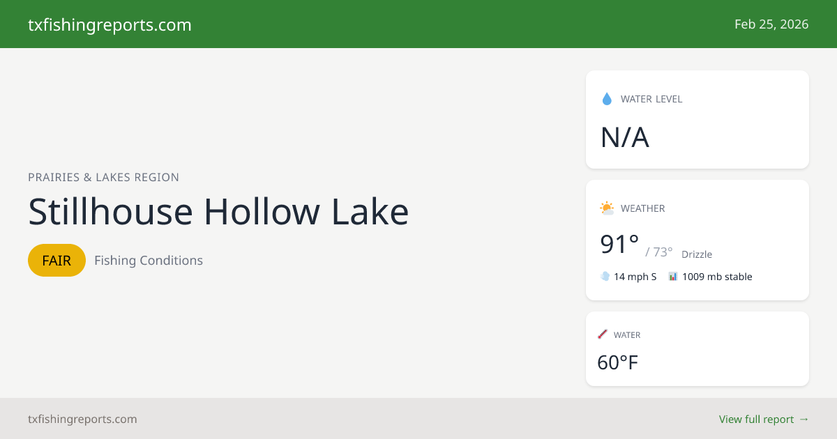 Stillhouse Hollow Lake Fishing Report 2026 - TX Water Levels & Weather